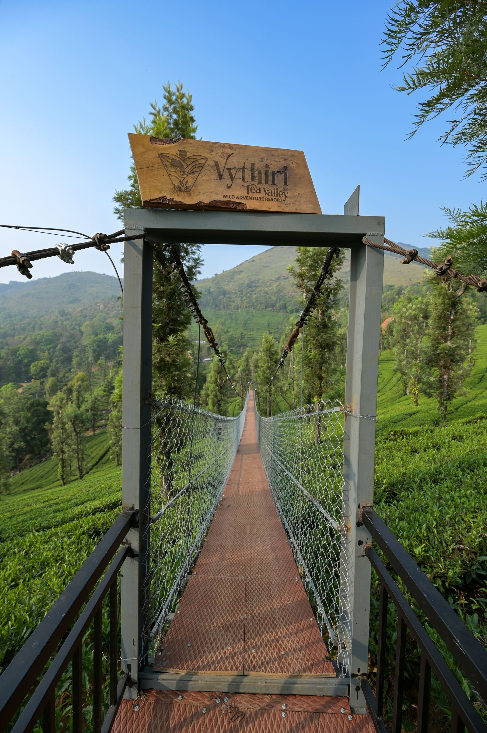Vythiri Tea Valley - Wild Adventure Resort