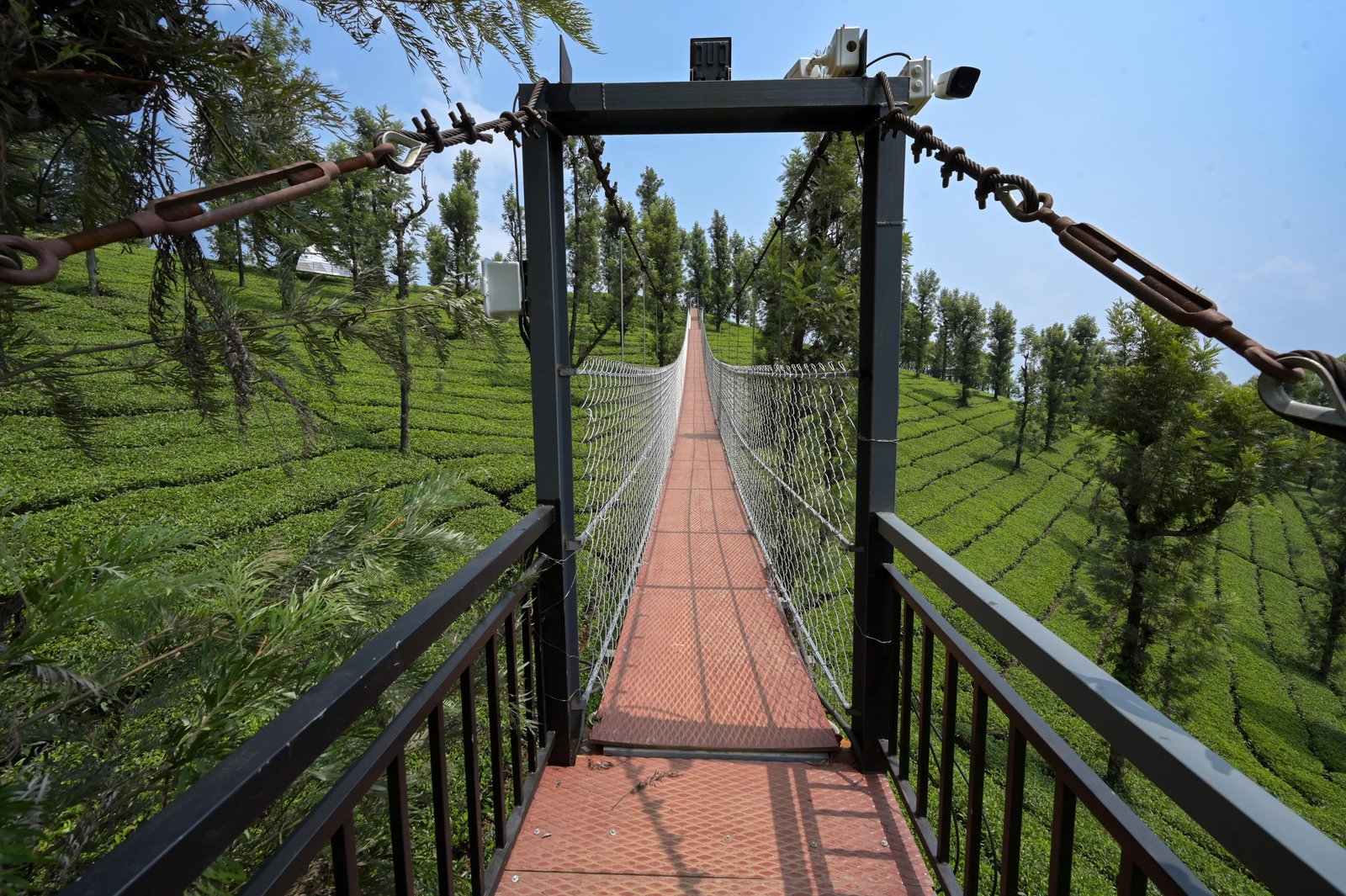 Vythiri Tea Valley - Wild Adventure Resort